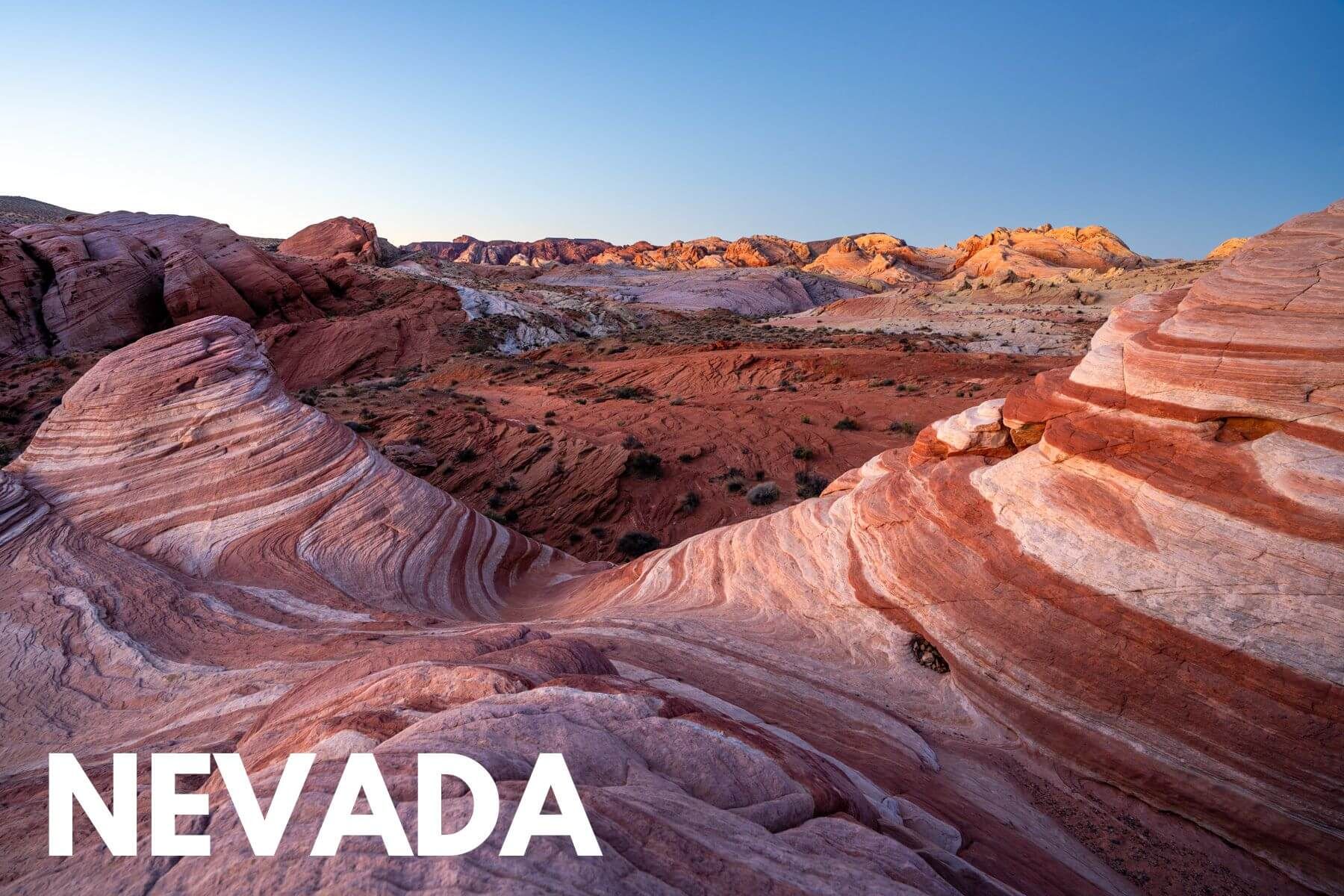Bay Area to Nevada Movers | California to NV Moving Company